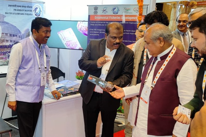 National Fisheries Development Board