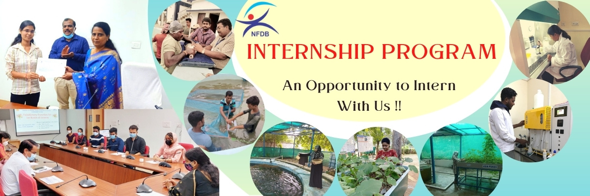NFDB Internship Program | National Fisheries Development Board