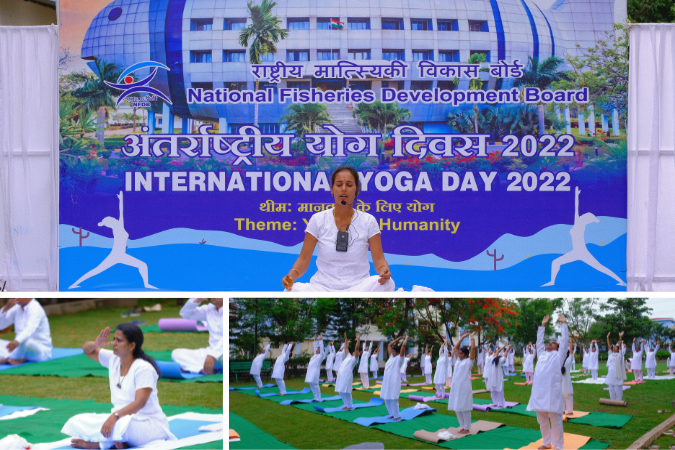 National Fisheries Development Board