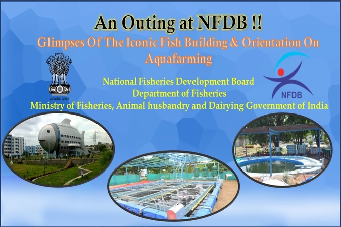 National Fisheries Development Board