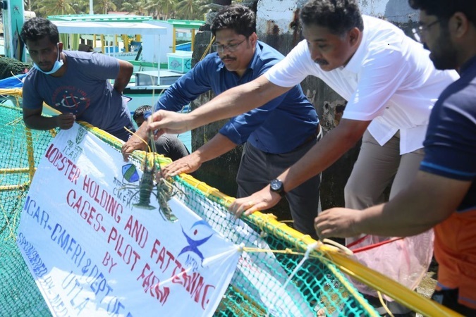 National Fisheries Development Board