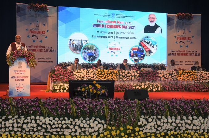 National Fisheries Development Board